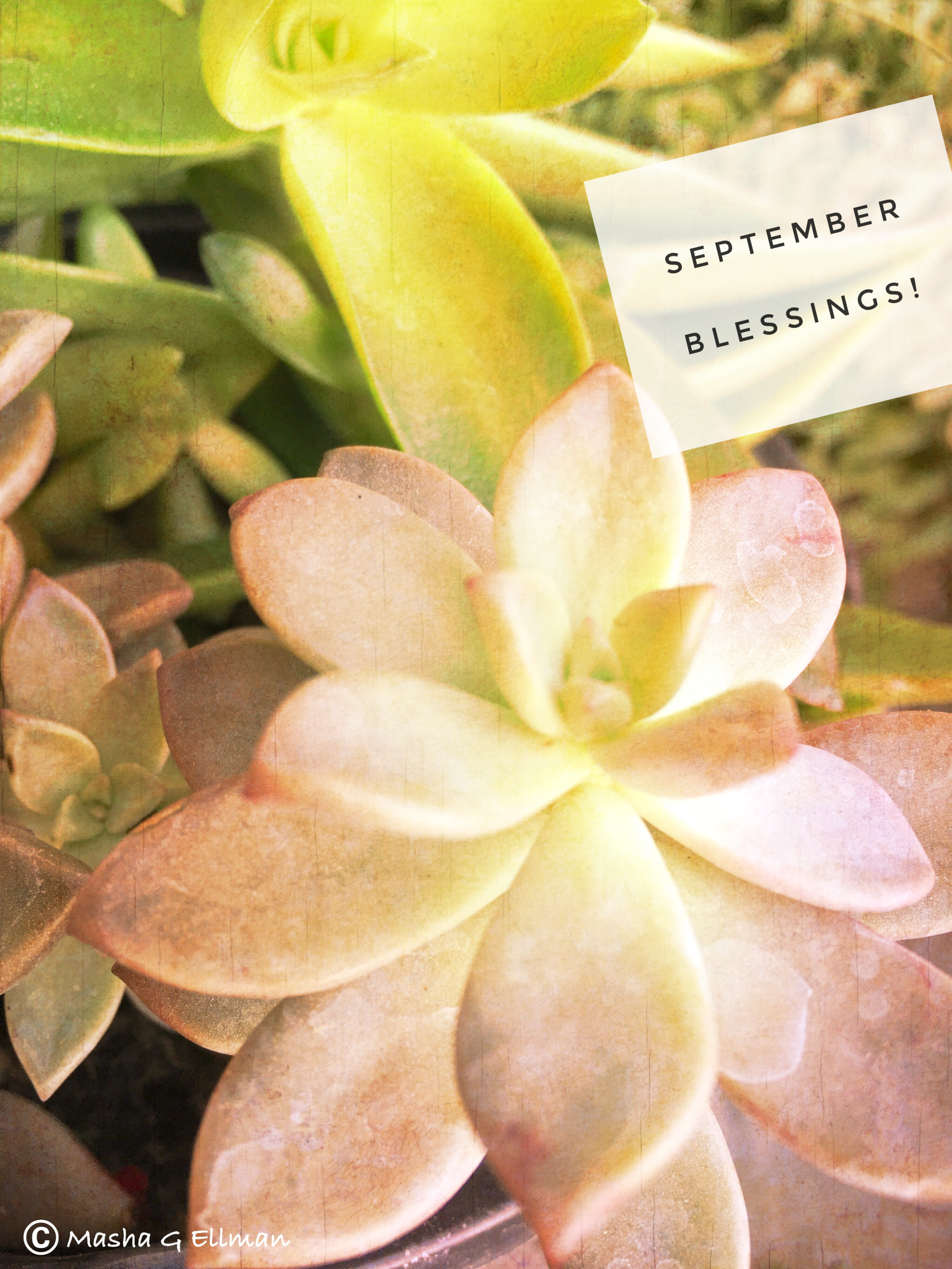 September Blessings! – In My Everyday Life